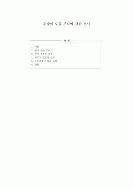 문장의 오류 분석에 관한 조사-1페이지