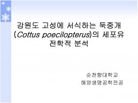 강원도 고성에 서식하는 둑중개(Cottus poecilopterus).-1페이지