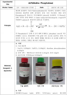 ALP(Alkaline Phosphatase)-1페이지