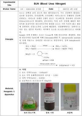 BUN (Blood Urea Nitrogen)-1페이지