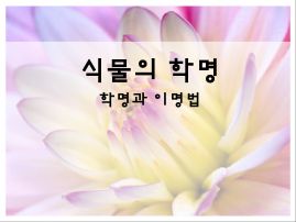 식물의 학명-1페이지