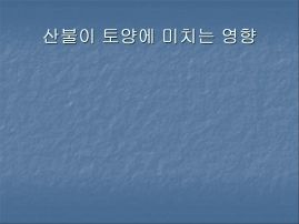 산불이 토양에 미치는 영향-1페이지