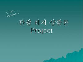  관광 레저 상품론 Project  -1페이지