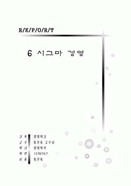 6시그마 경영의 정의 및 사례-1페이지