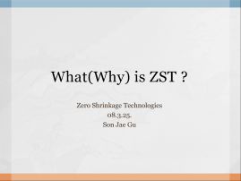 What(Why) is ZST?-1페이지