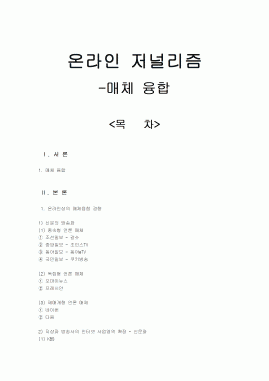 온라인 저널리즘-매체융합-1페이지