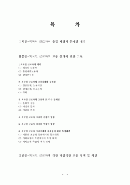 외국인 근로자의 고용실태의 문제점과 바람직한 고용정책에 대한 논의-1페이지