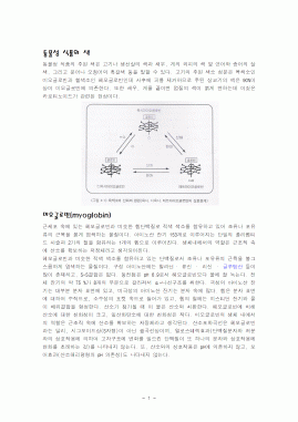 미오글로빈에 따른 육류의 색변화-1페이지