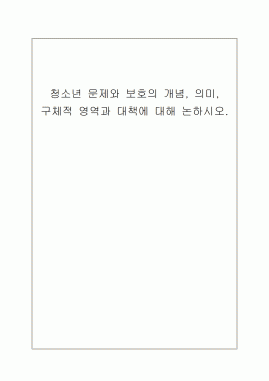 청소년 문제와 보호의 개념, 의미, 구체적 영역과 대책에 대해 논하시오.-1페이지