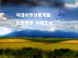 국내관광상품개발 - 농촌관광 사례조사-1페이지