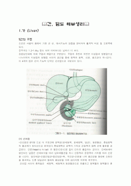 간, 담도 해부생리&진단적검사-1페이지