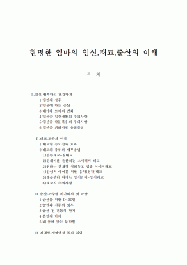 현명한 엄마의 임신.태교.출산의 이해 - 태교 교육의 시작, 출산, 제대혈-1페이지