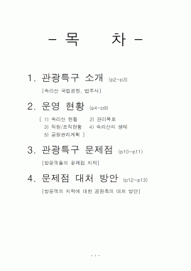  [관광]우리나라 관광특구 조사 (속리산 법주사)-1페이지