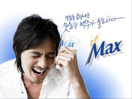 하이트 Max 마케팅 전략-1페이지