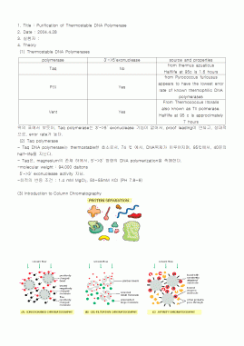 Purification of Thermostable DNA Polymerase-1페이지