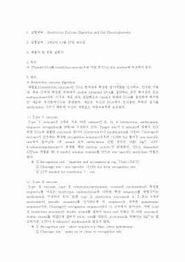 Restriction Enzyme Digestion and Gel Electrophoresis-1페이지