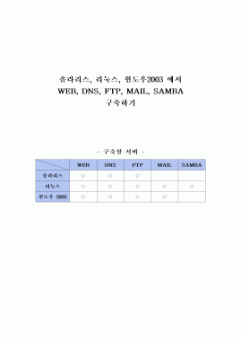 솔라리스, 리눅스, 윈도우2003 에서WEB, DNS, FTP, MAIL, SAMBA 구축하기-1페이지