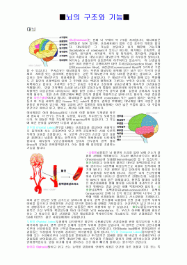 뇌의 구조와 기능 [의약학]-1페이지