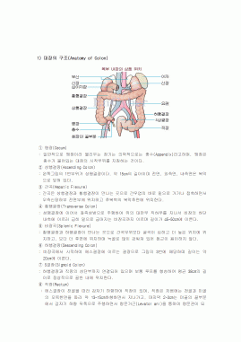 대장암의 수술 방법과 종류 및 간호-1페이지