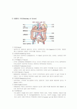 대장암 정리 완결판-1페이지