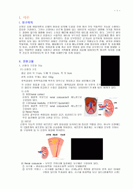 만성신부전 [분석/조사] -1페이지