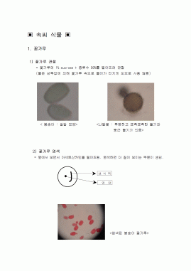 속씨식물 관찰 - 화분관 발아 및 꽃의 구조-1페이지