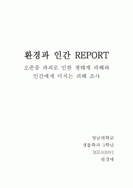 오존층 파괴로 인한 생태계 피해와 인간에게 미치는 피해-1페이지