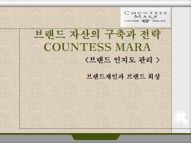 브랜드 자산의 구축과 전략 COUNTESS MARA - 브랜드 인지도 관리 -1페이지