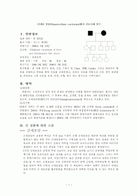 간세포 암종(Hepatocelluar carcinoma)환자 간호사례 연구-1페이지