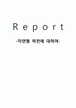 자연 하천에 대해서-1페이지