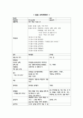 유치원 일일교육계획안-1페이지