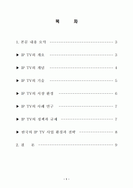 iptv의 동향과 전략-1페이지