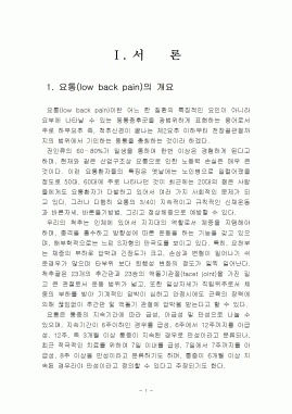 [논문] 요통의 원인과 운동처방 -1페이지