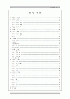 스키의 기원과 역사와 특징 및 종류, 장비-1페이지