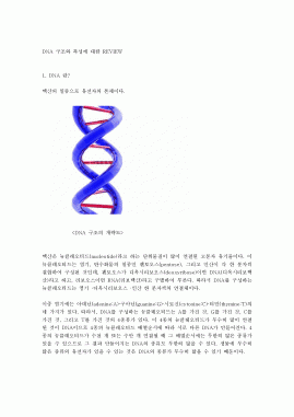 DNA 구조와 기능-1페이지