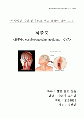 뇌졸중,CVA에 대한 조사 -1페이지