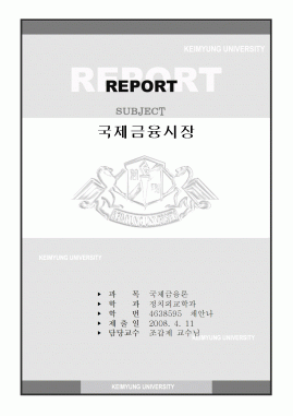 [사회과학] 국제금융시장 -1페이지