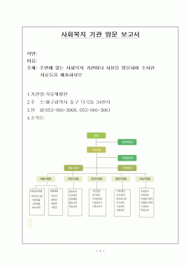 사회복지 기관을 방문하여 프로그램 및 복지관을 소개하기-1페이지