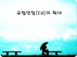 유럽연합 EU-1페이지