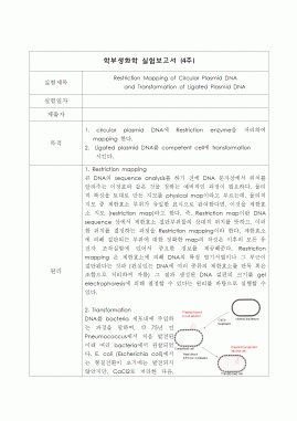 [생물실험, 생화학 실험] circular 플라스미드 DNA 제한효소자리 mapping-1페이지