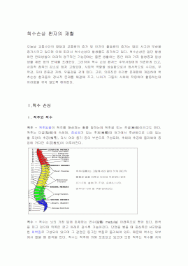 척추(척수)손상환자의 재활 간호-1페이지