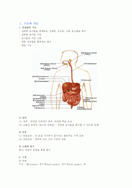 소화기계 구조와 기능 및 임상검사-1페이지