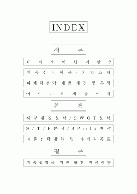 [마케팅원론]네비게이션 아이나비 마케팅전략 및 성공요인 분석-1페이지