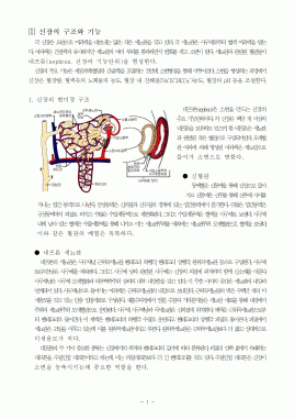 신장에 대해-1페이지