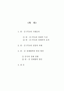 한중 FTA와 나의 생각 -1페이지