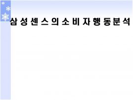 삼성 센스의 소비자 행동분석-1페이지