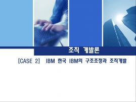 한국 미국 IBM의 조직개발 구조조정-1페이지