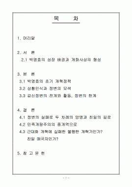 박영효와 갑신정변, 갑오개혁의 재조명-1페이지