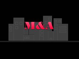 M&A (인수합병)-1페이지