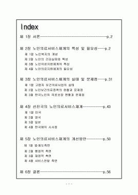 노인건강과 의료서비스 체계-1페이지